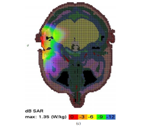 Comparison of FDTD-Calculated SAR in Adults and Children When Using a ...